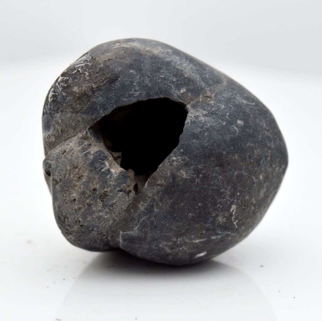 Genuine Kurma Shaligram Idol Lord Vishnu shaligr For Tulsi Puja Small ...