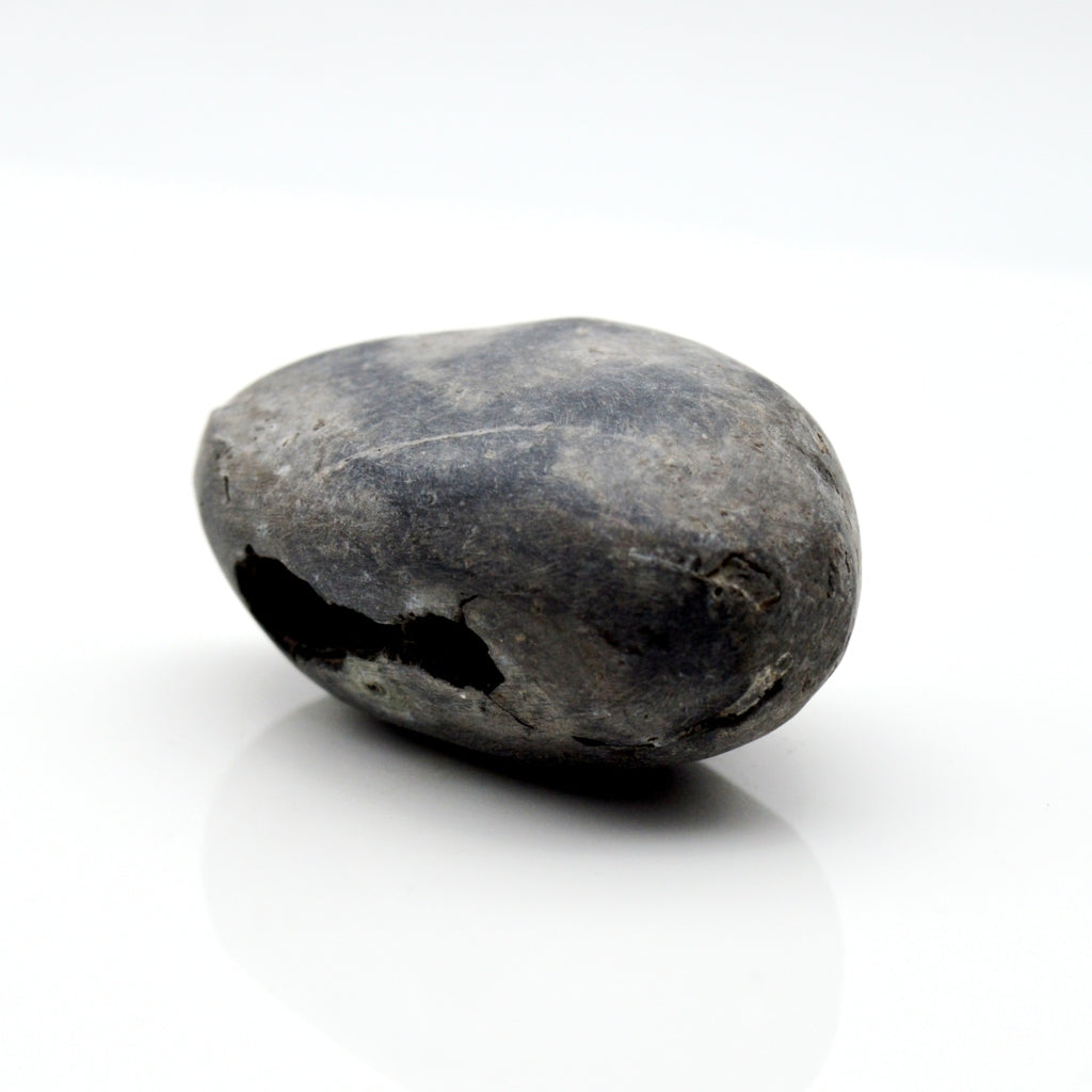 Nepal Gandaki Damodar Shaligram Vishnu Idol For Pooja Small Size (Max ...