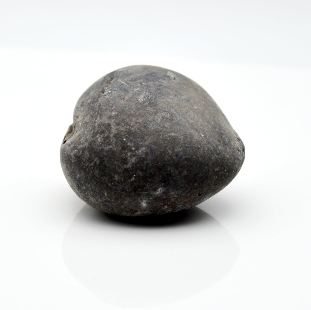 Original Madhav Shaligram Fossil For Worship Small Size (Max: 5 CM ...