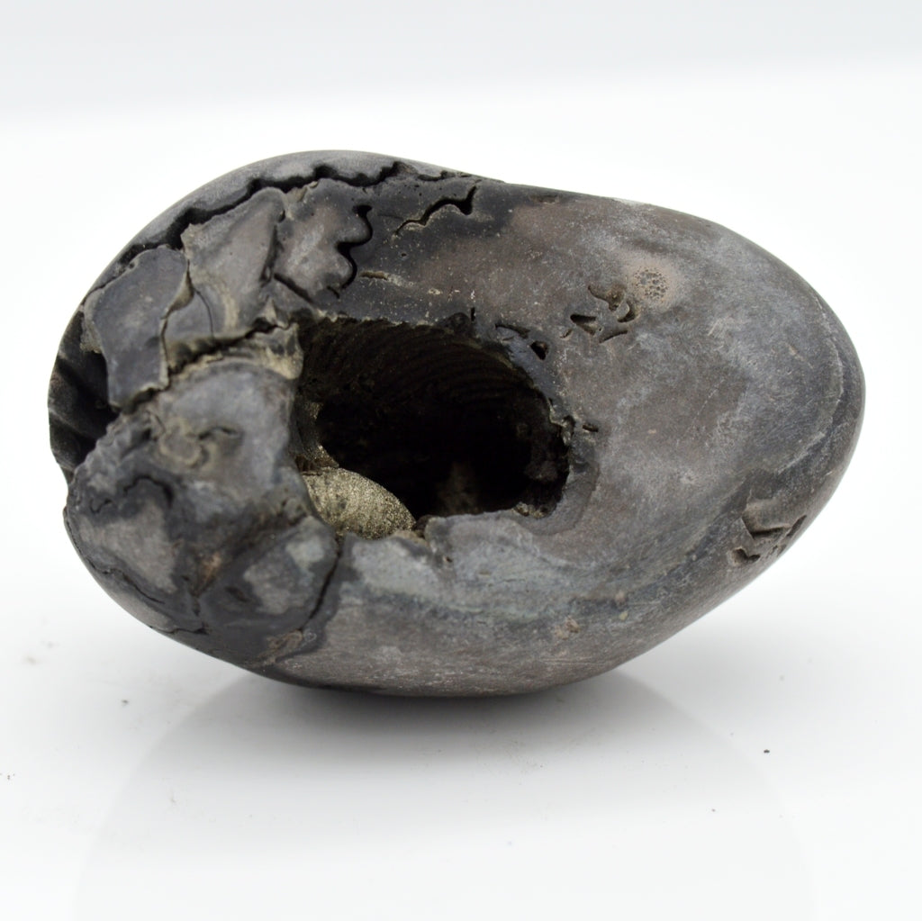 Nepal Gandaki Laxmipati Shaligram Fossil For Worship Small Size (Max ...