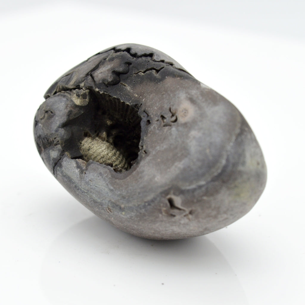 Nepal Gandaki Laxmipati Shaligram Fossil For Worship Small Size (Max ...