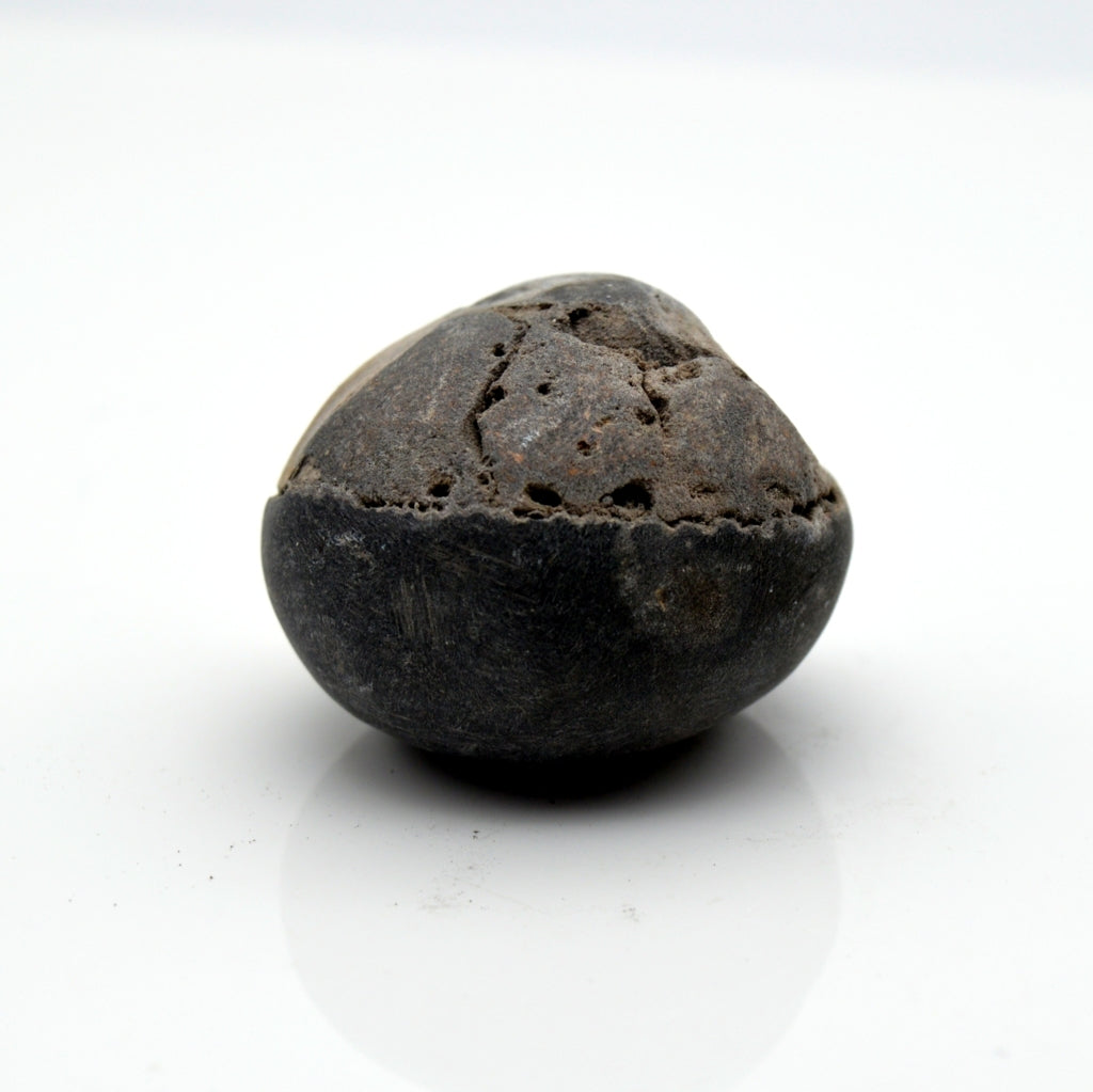 Nepal Gandaki Bisworupa Shaligram Vishnu Shilla For Worship Small Size ...