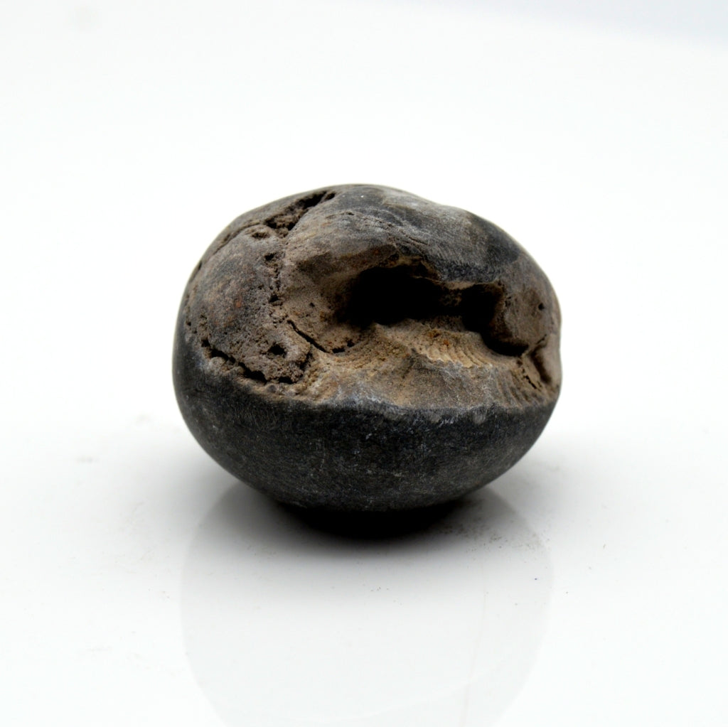 Nepal Gandaki Bisworupa Shaligram Vishnu Shilla For Worship Small Size ...