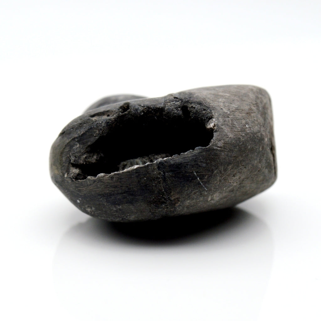 Genuine Narsingha Shaligram Vishnu Shilla For Worship Small Size (Max ...