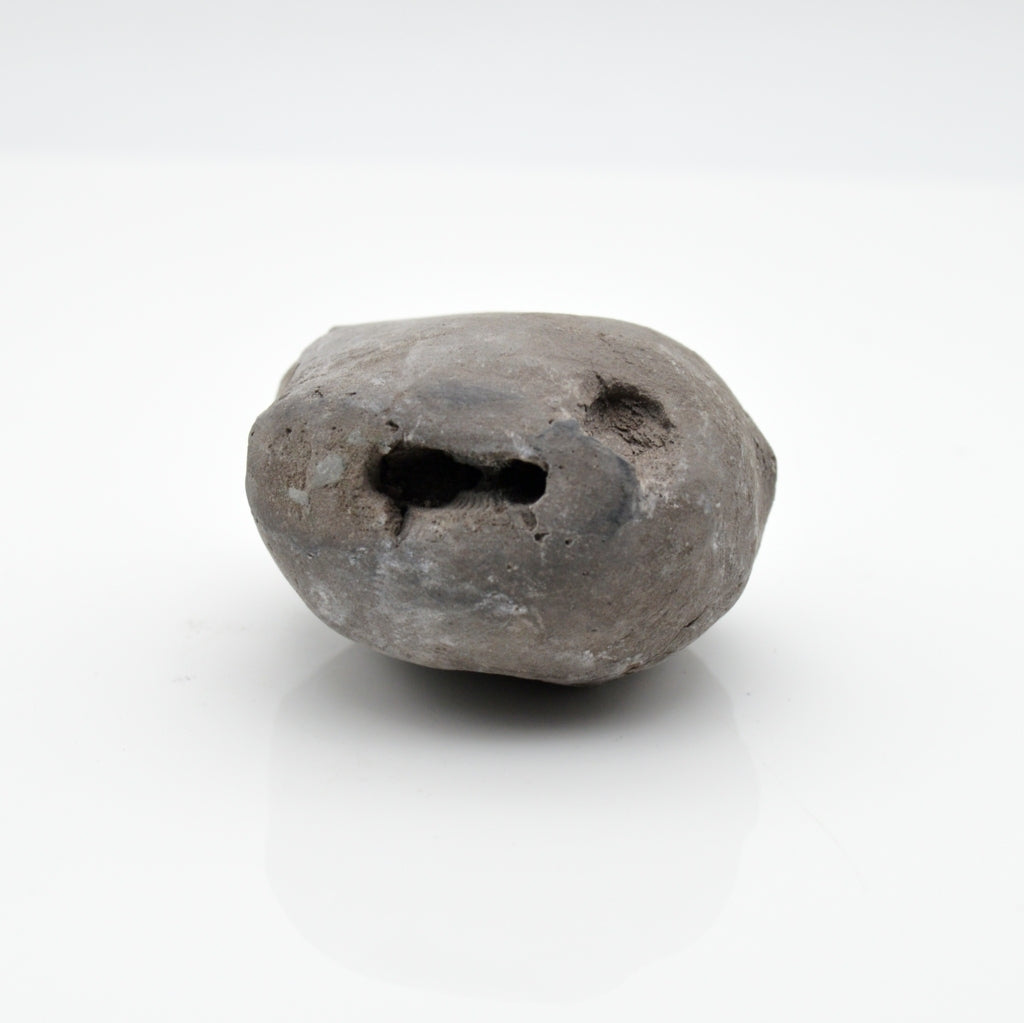 Genuine Madhusudan Shaligram Fossil For Worship Small Size (Max: 5 CM ...