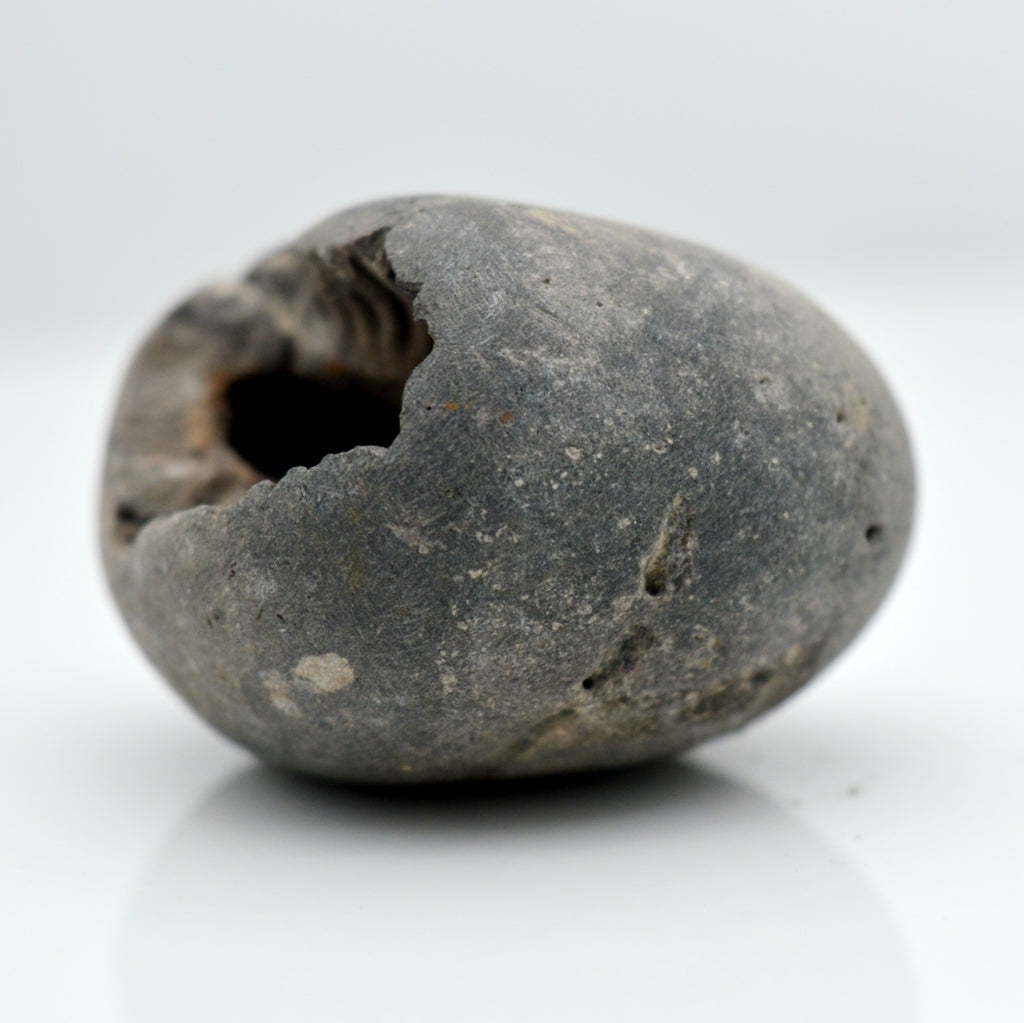 Genuine Kurma Shaligram Idol Lord Vishnu shaligr For Tulsi Puja Small ...