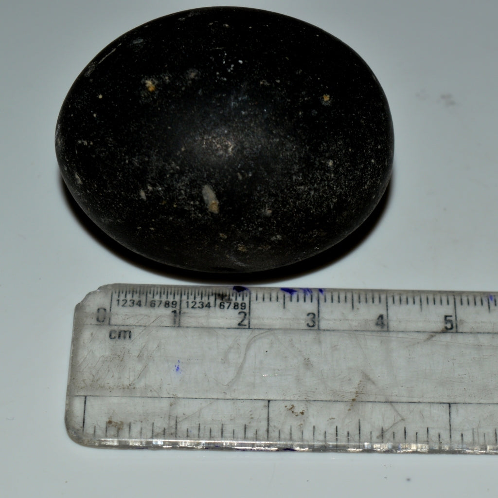 Nepal Gandaki Aditya Shaligram Bagwan Shilla For Tulsi Puja Small Size ...